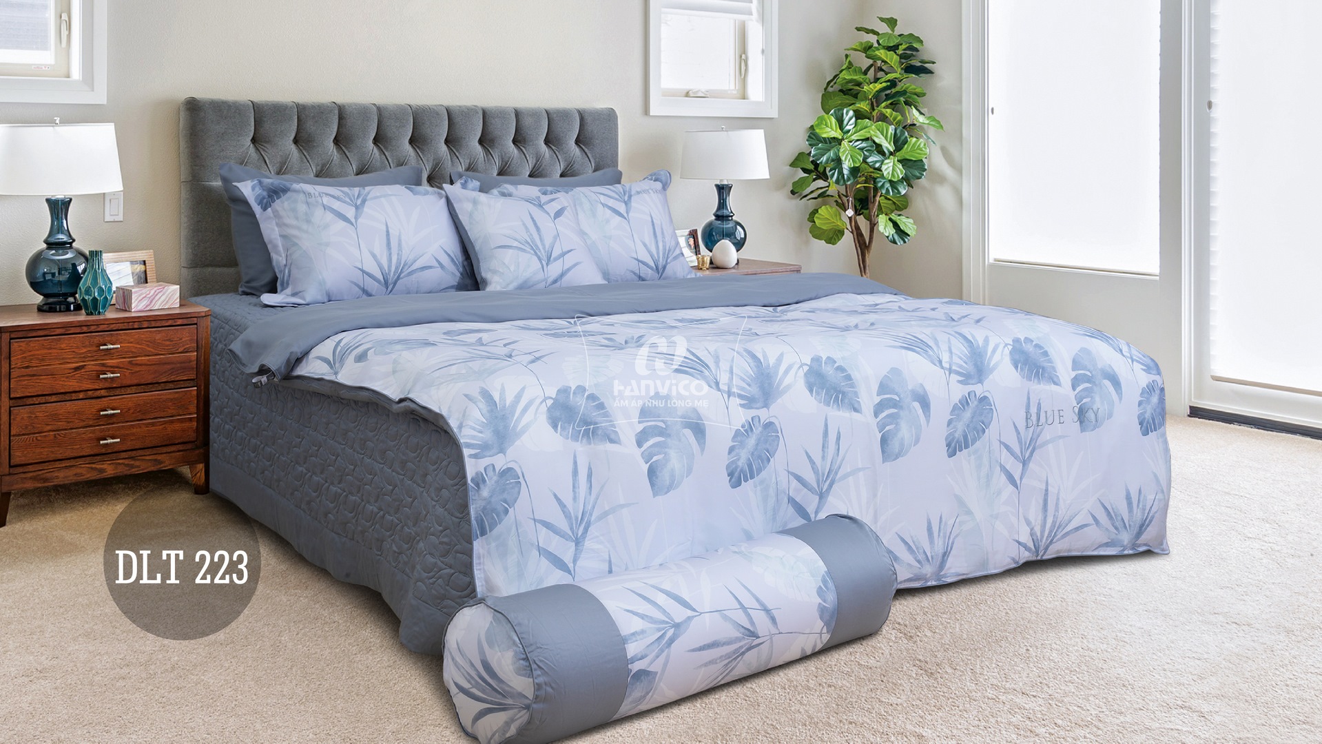 Chăn ga gối Blue Sky - Cotton T Hanvico | Hanvico Hà Nội